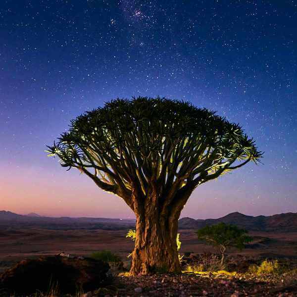 Namib's Valley of a Thousand Hills